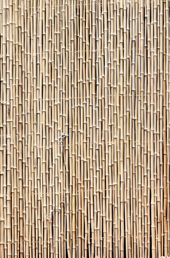 Bamboo curtain stock photo. Image of everyday, abstract - 27205774