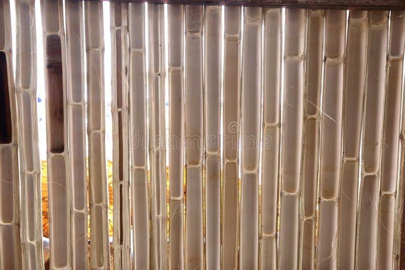Bamboo Cut in Half and Make a Wall Stock Photo - Image of background ...