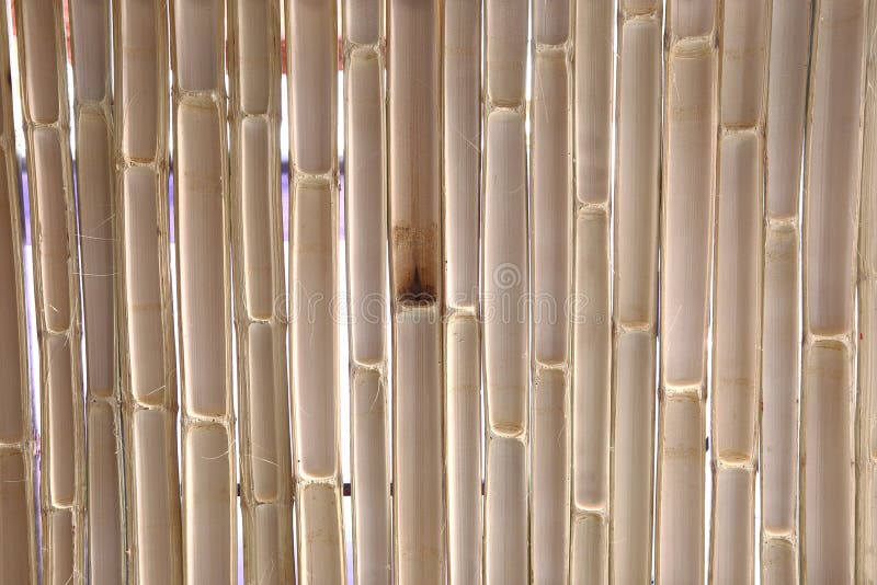 Bamboo Cut in Half and Make a Wall Stock Photo - Image of culture ...