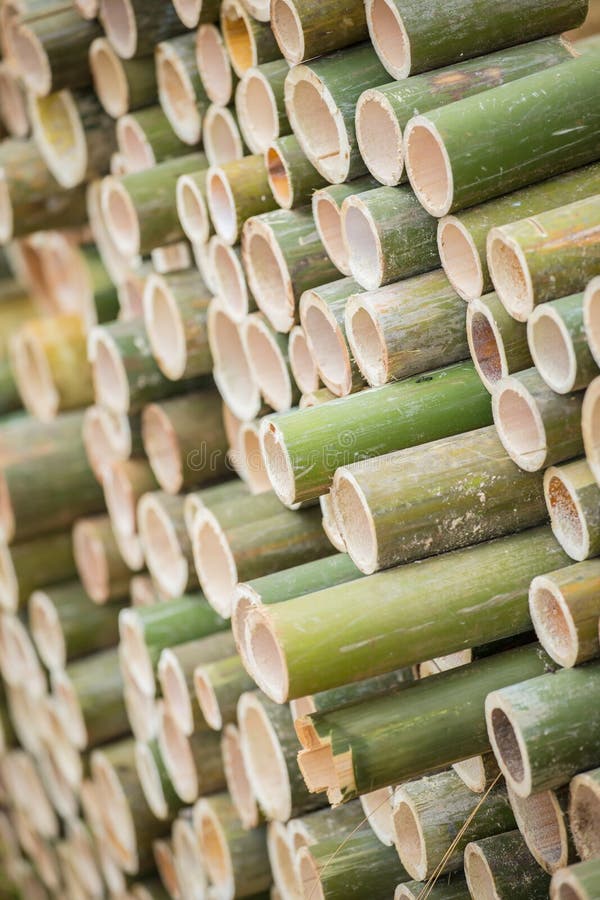 Bamboo Cutted Wood Wall Background Stock Photos - Free & Royalty-Free ...