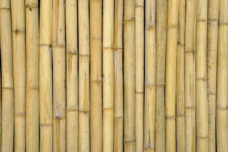 Bamboo Fence Background stock image. Image of material - 168497933