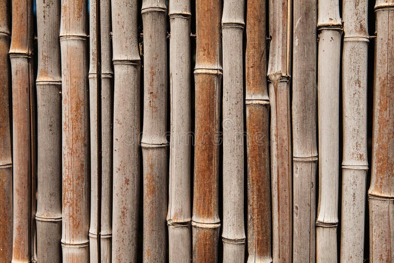 Bamboo fence background stock photo. Image of pattern - 59282304