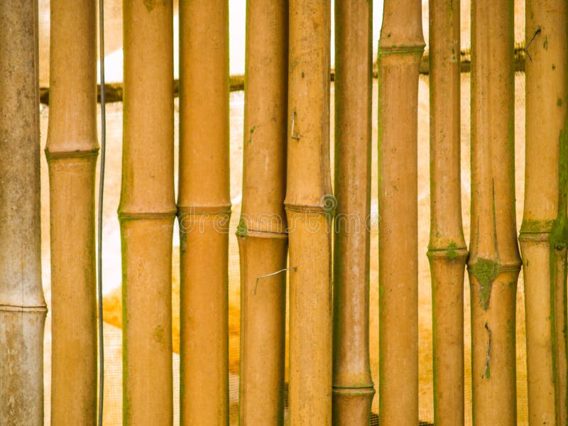 Bamboo fence background stock image. Image of texture - 43380587