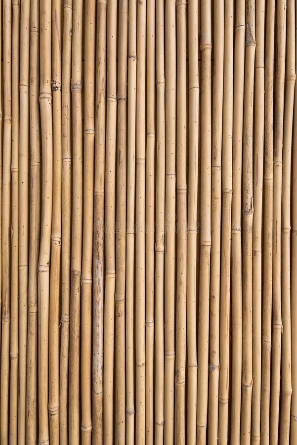 Bamboo fence background stock photo. Image of natural - 57027534