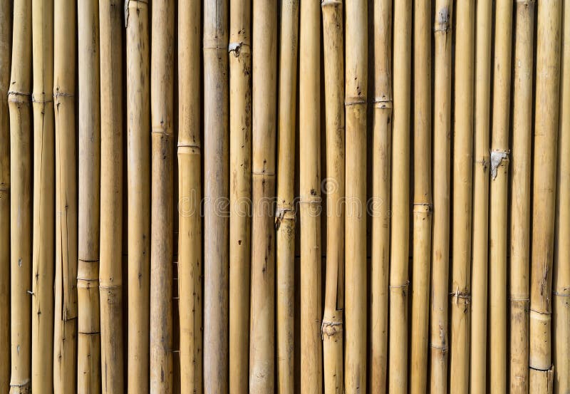 Bamboo fence background stock image. Image of bamboo - 71480659