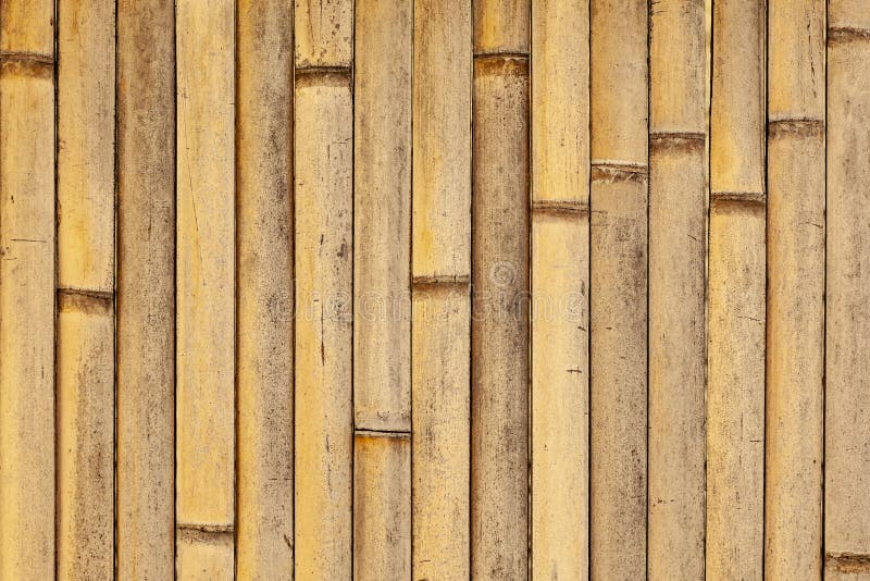 Bamboo Fence Texture and Background Seamless Stock Photo - Image of ...