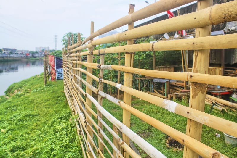 Bamboo Fence Fields by the River Stock Photo - Image of wood, path ...