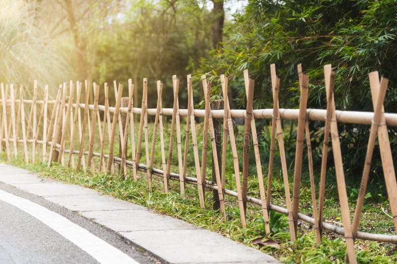Bamboo fence in spring stock photo. Image of spring - 311643020
