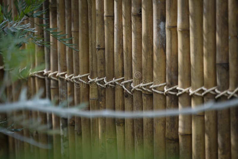 The Bamboo Fence with Ropes. Stock Image - Image of branch, park: 253245391