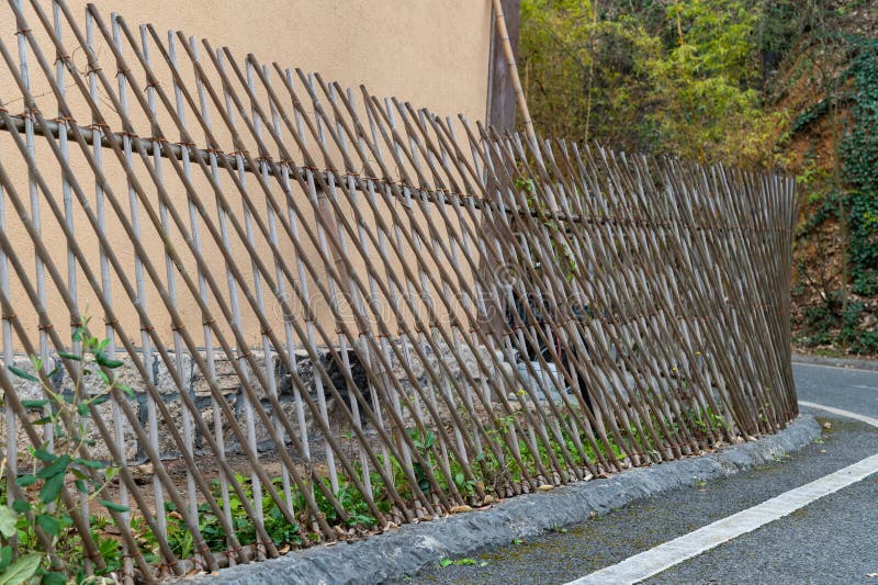 Bamboo fence in spring stock photo. Image of meadow - 311642598