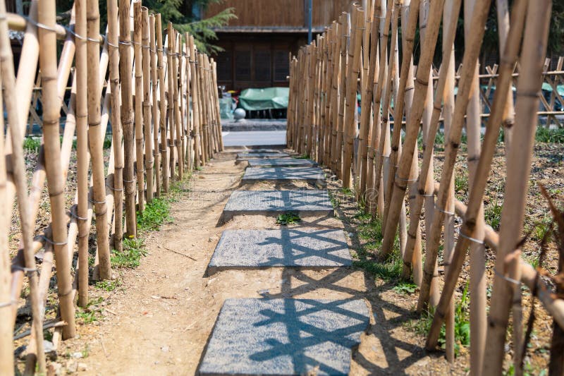 Bamboo fence in spring stock image. Image of planning - 311782867