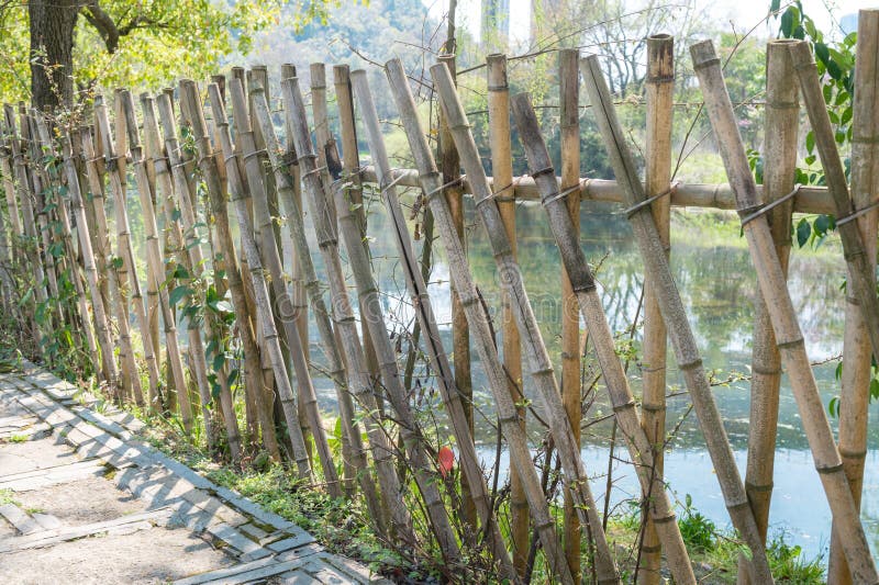 Bamboo fence in spring stock photo. Image of lawn, purple - 311784650