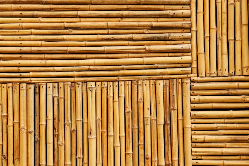 Bamboo fence stock image. Image of natural, green, rain - 24973657