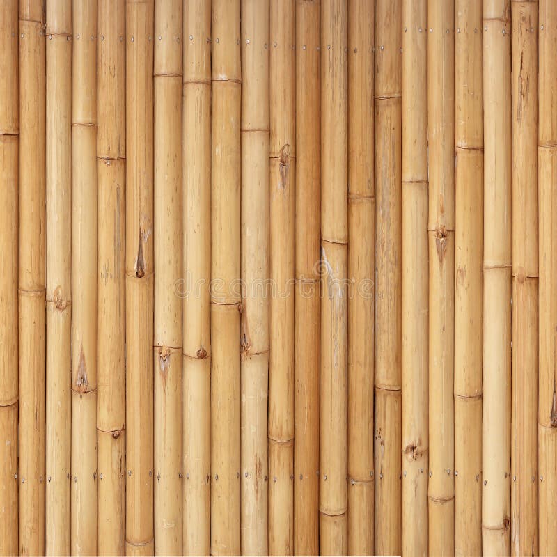 Bamboo Fence Texture Abstract for Background Stock Image - Image of ...