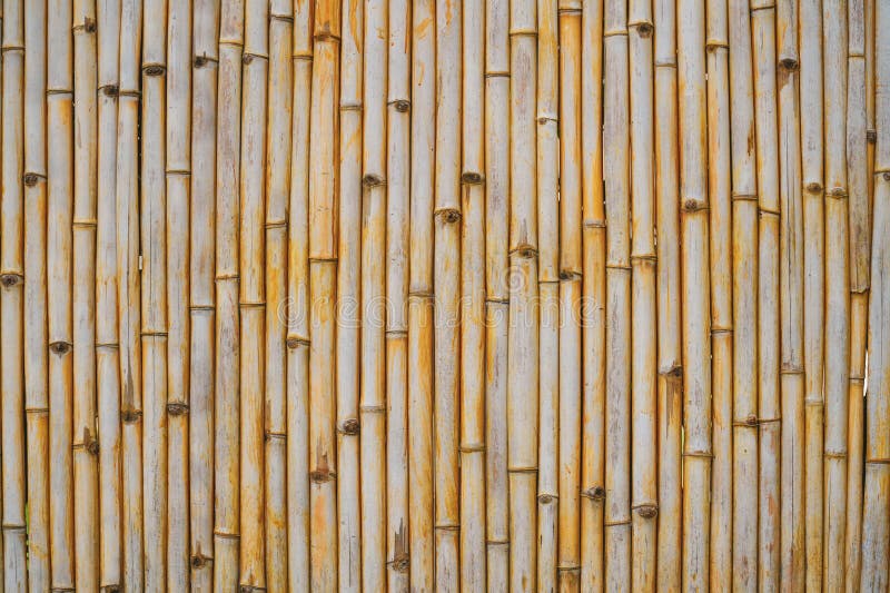 Bamboo Fence Texture Natural Wall Stock Photo - Image of fence ...