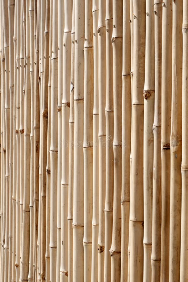 Bamboo Wall Texture for Background. Stock Photo - Image of frame ...