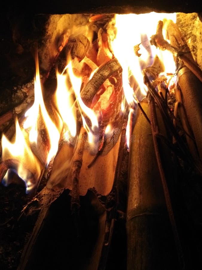 Bamboo fire stock image. Image of explore, cool, fire - 129592511