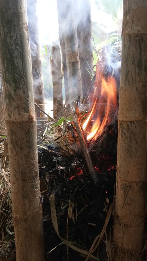 206 Bamboo Fireworks Stock Photos - Free & Royalty-Free Stock Photos ...