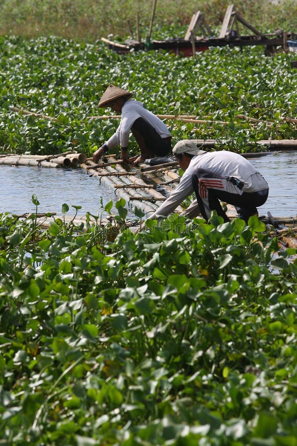 Bamboo fish cage editorial photography. Image of java - 41104967