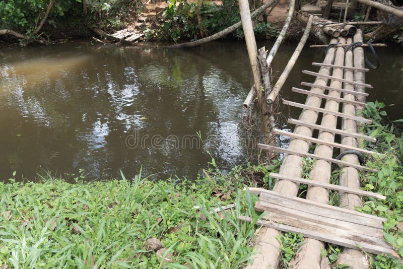 Bamboo Footbridge Across Creek Stock Image - Image of tree, scenic ...