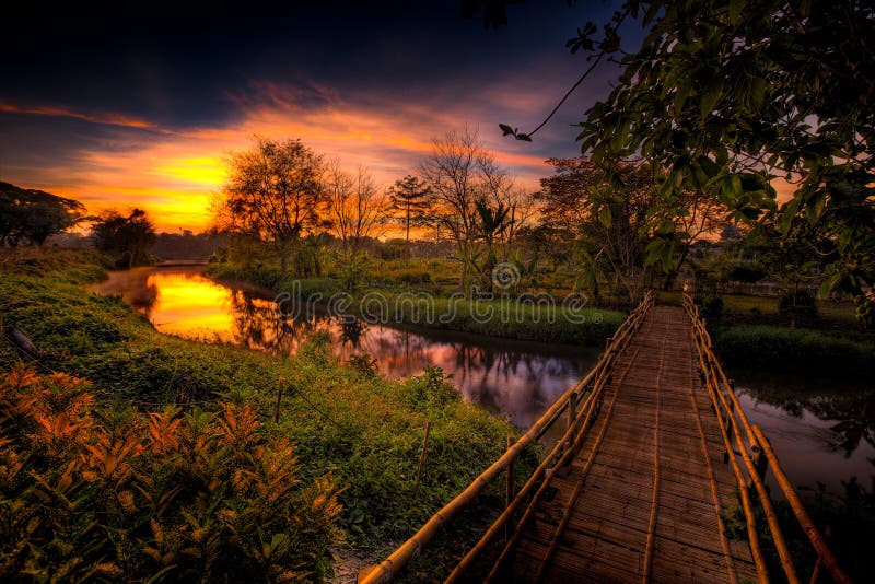 Bamboo Footbridge and Small Tree House. the Construction of Bamboo Logs ...