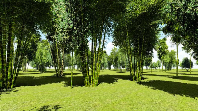 Bamboo Plant Green Screen Motion Graphics Stock Footage - Video of ...