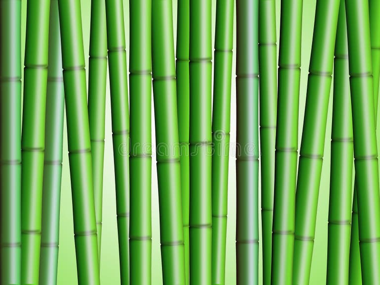Forest Bamboo Background Stock Illustrations – 32,654 Forest Bamboo ...