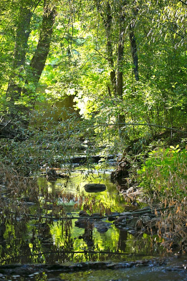 Lup and Reflection of the Afternoon Sun Stock Photo - Image of ...