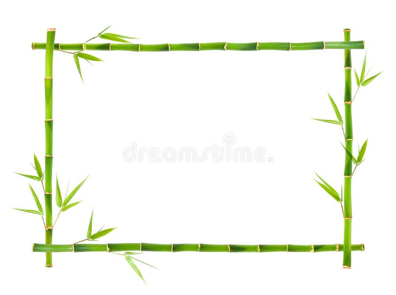 Bamboo Frame Isolated on White Background Stock Illustration ...