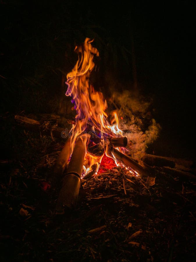 Bamboo-fueled Bonfire, a Dance of Flames. Stock Image - Image of flames ...