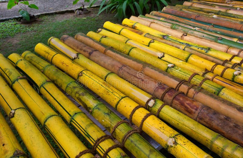 Bamboo Green Raft. Green Bamboo Texture Stock Image - Image of rope ...