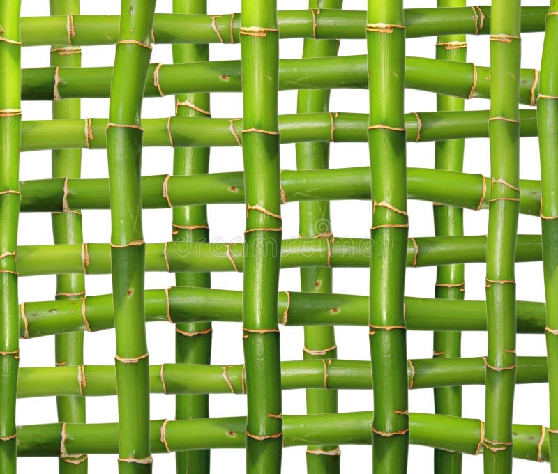 Bamboo grid stock photo. Image of bamboo, design, arrangement - 17709082
