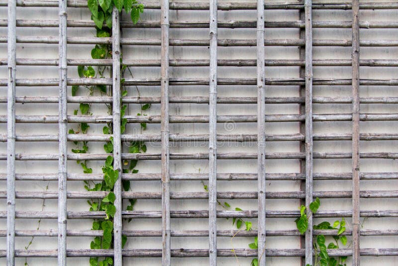 Bamboo grid stock photo. Image of handcraft, craft, culture - 26808684