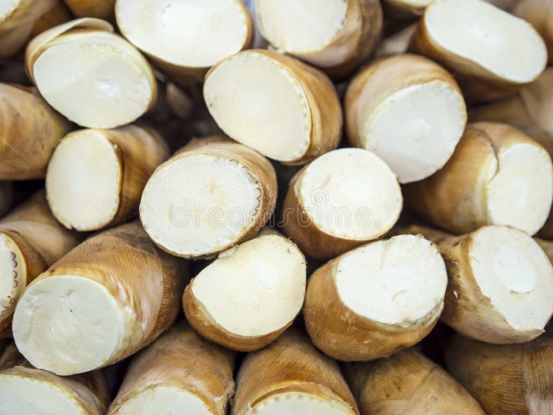 Stems Sectioned Stock Photos - Free & Royalty-Free Stock Photos from ...