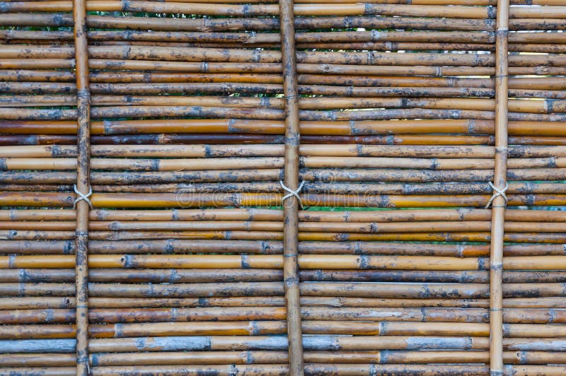 Bamboo Cut in Half and Make a Wall Stock Photo - Image of background ...
