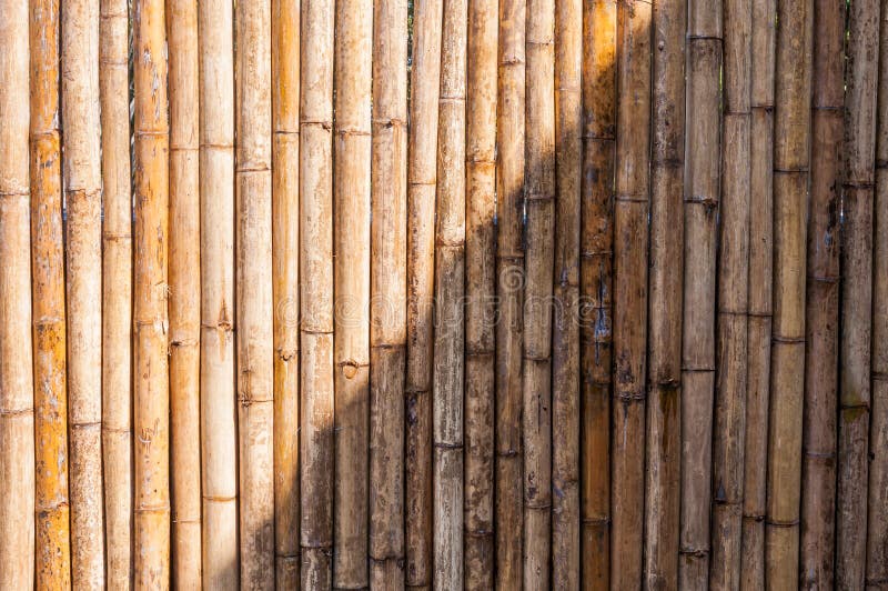 Bamboo Cut in Half and Make a Wall Stock Photo - Image of background ...
