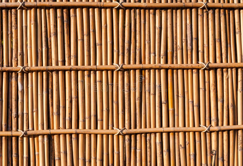Bamboo Cut in Half and Make a Wall Stock Photo - Image of background ...
