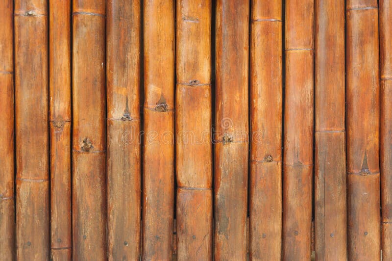Bamboo Cut in Half and Make a Wall Stock Photo - Image of background ...
