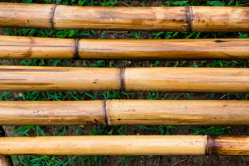 Bamboo Horizontal Lines Texture Stock Image - Image of forest, organic ...