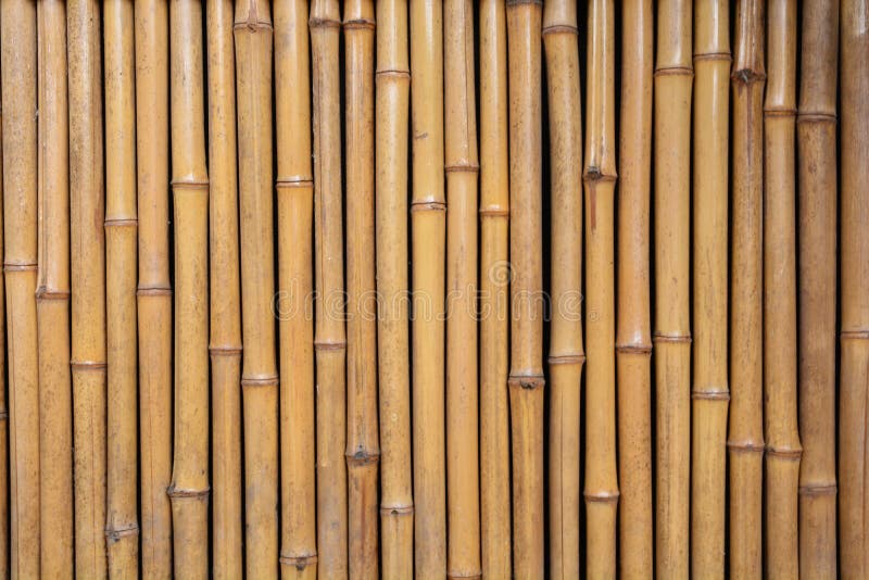 Bamboo house wall stock image. Image of panel, plain - 84948691