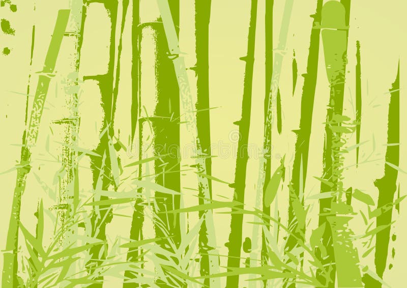 Bamboo Illustration stock illustration. Illustration of plant - 11635278