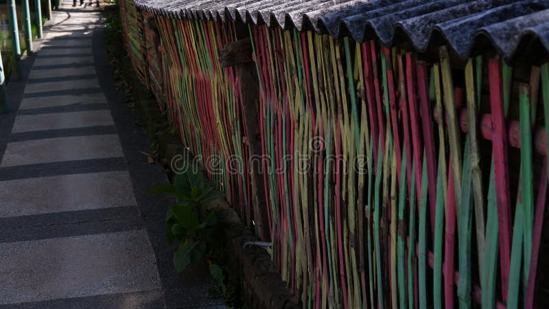 334 Bamboo Plant Base Stock Photos - Free & Royalty-Free Stock Photos ...