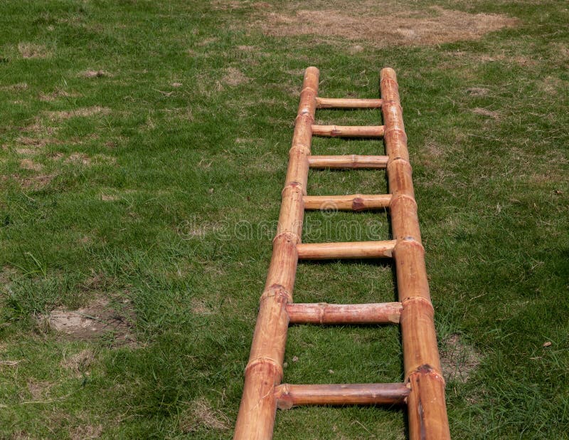 Bamboo Ladder Laying on a Ground in the Lawn Stock Image - Image of ...