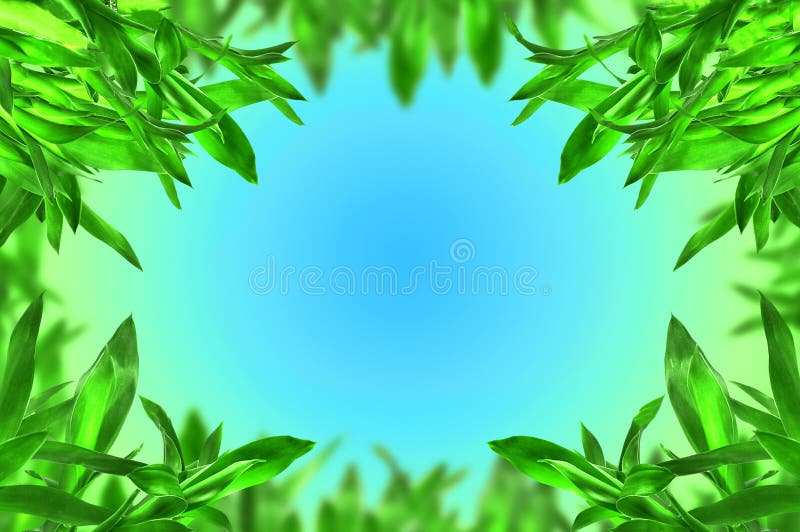 Bamboo leaves border stock image. Image of leaves, nature - 7578195