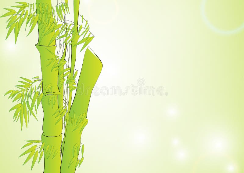 Bamboo in Light Green Background Stock Vector - Illustration of ...