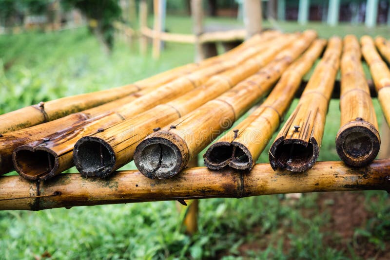 Bamboo litter soft focus stock photo. Image of plank - 74219414