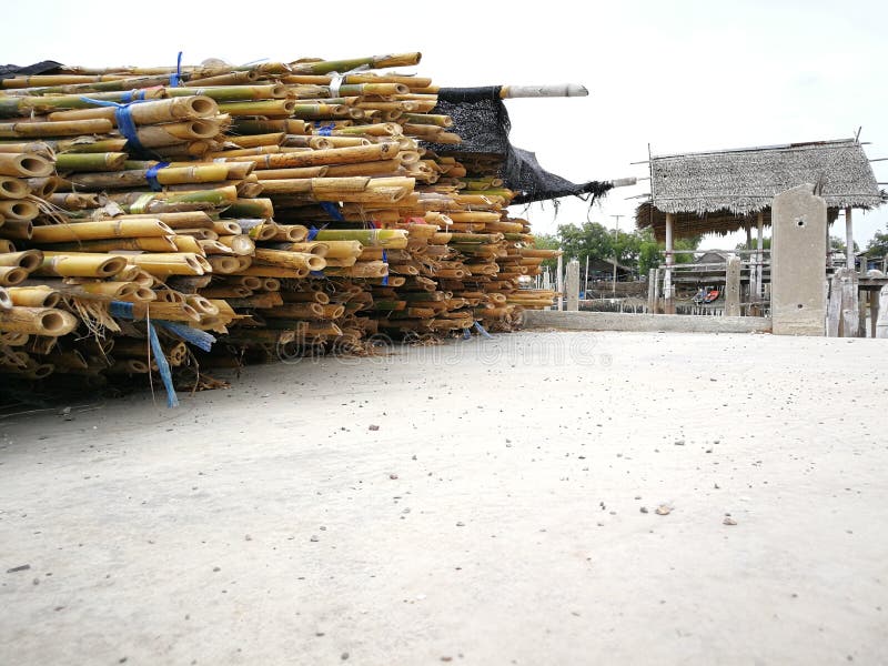Bamboo stock photo. Image of waiting, bamboo, drying - 124450700