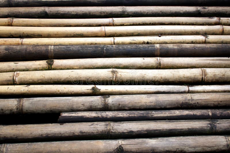 Bamboo Material stock photo. Image of jungle, reeds, china - 16575362