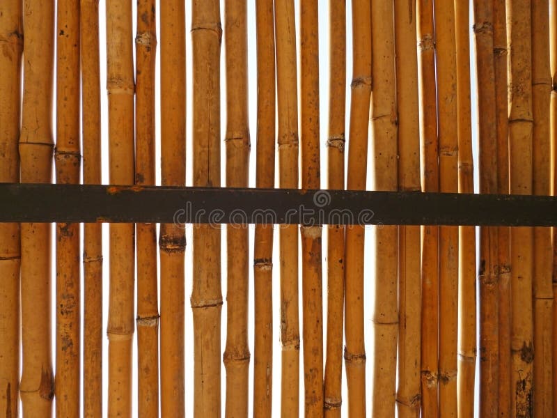 Bamboo with metal stock image. Image of detail, construction - 74482437