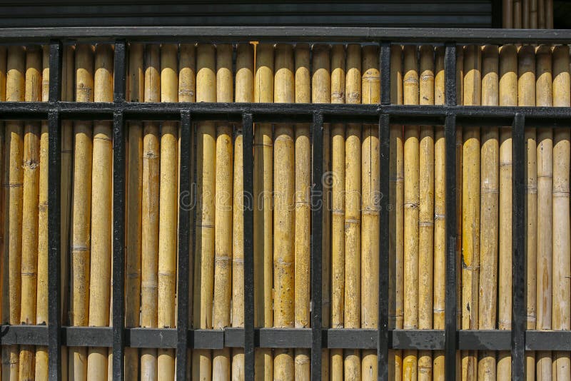 Bamboo and metal fence stock photo. Image of metal, locked - 155516484